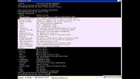 Juniper Show Routing Tables At Brenda Hansford Blog