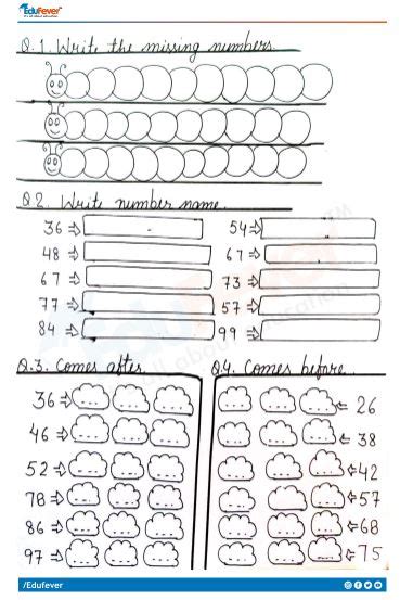 Class 1 Math Numbers Worksheet With Solution
