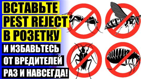 Прибор против тараканов домашними средствами 👍 - YouTube