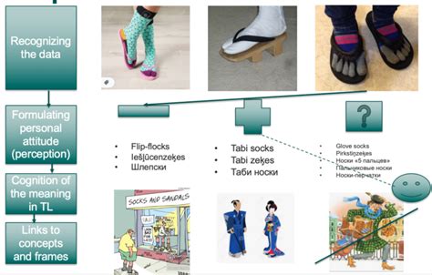 Basic Algorithm Processing The Lexical Item Download Scientific Diagram