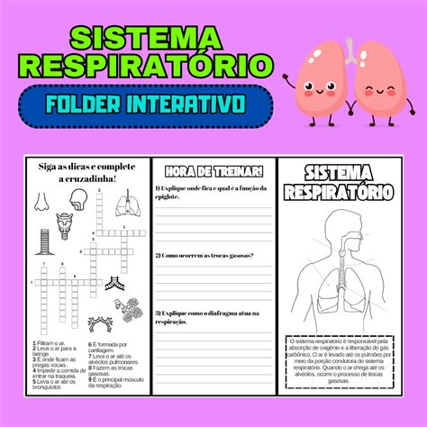 Planilhas De Sistema Respiratorio Para Criancas Alunos Do 5º Ano