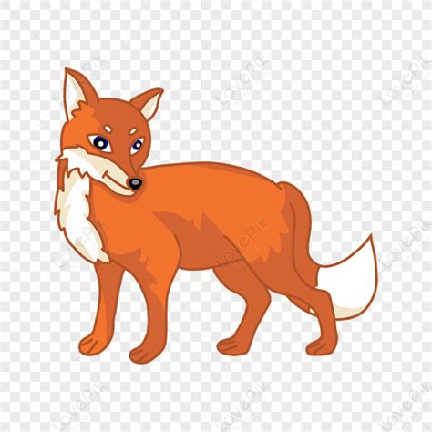 오만한 여우 일러스트붉은 여우클립 아트주황색 Png 일러스트 무료 다운로드 Lovepik