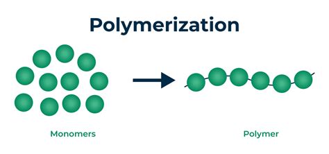 Polymerization Geeksforgeeks