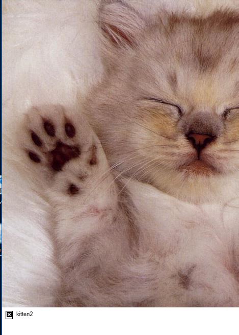 Html Html5 Image Wont Load Stack Overflow