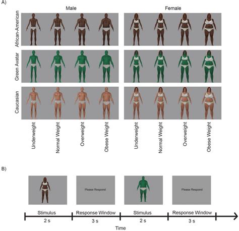 Experimental Paradigm For The Visual Categorization Task A Example Download Scientific