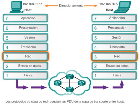Capa De Red Y Capa De Transporte Modelo Osi Lmv Protocolos De La Capa De Red