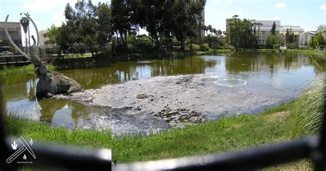 La Brea Tar Pits 2006