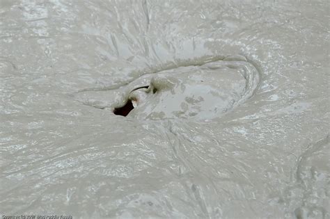 Mud Puddle Visuals On Twitter 3 4 Lena In Bubbling Clay Ultimate