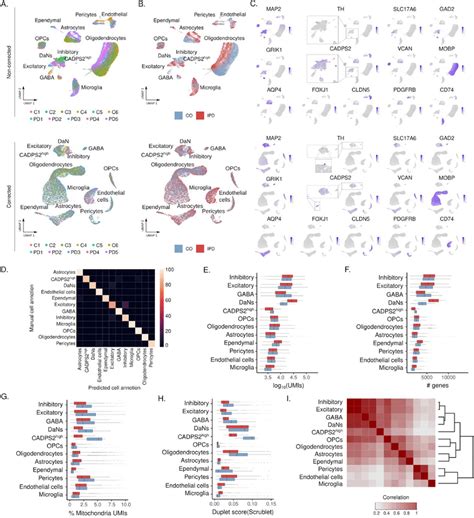 fig s1 midbrain cell umap embedding and cell type specific snrna seq