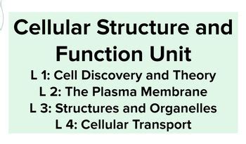 Cellular Structure And Function Guided Babe Notes Biology TPT