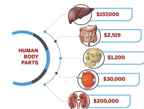 Shocking Body Parts Prices The Observer Media Ltd