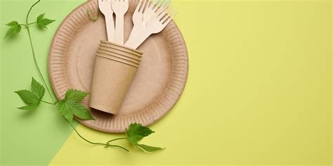 Platos Y Vasos Desechables Para Comida Vegana Greenvase