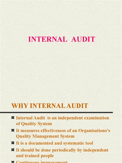 Pdf Basics Of Internal Audit Dokumentips