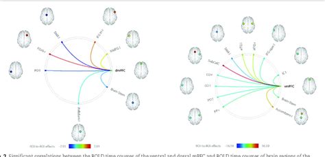 Figure 2 From Functional Connectivity Of The Medial Prefrontal Cortex