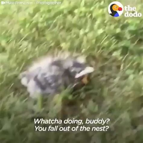 Ardi Xhaferi Posted On Linkedin