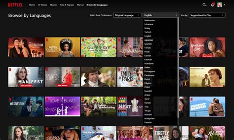 How To Filter Netflix Content By Language