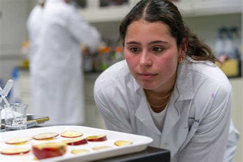 B S Food Science And Technology Department Of Food Science And Technology