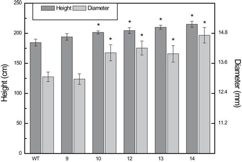 Hybrid Poplar Tree Growth Rate