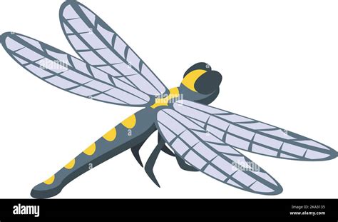 Shape Dragonfly Icon Isometric Vector Insect Wing Macro Bug Stock Vector Image And Art Alamy