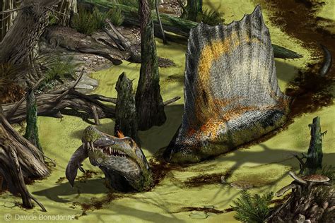 Spinosaurus Vs Sarcosuchus