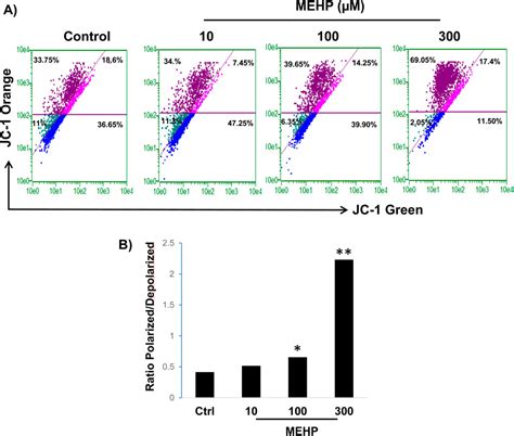 Frontiers In Vitro Analysis Of The Effect Of Mono 2 Ethylhexyl