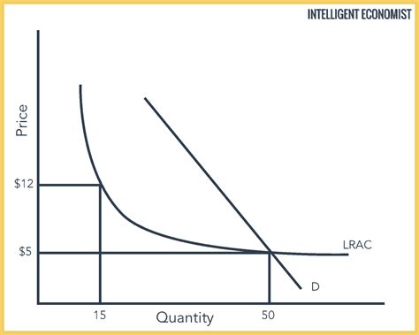 Natural Monopoly Intelligent Economist