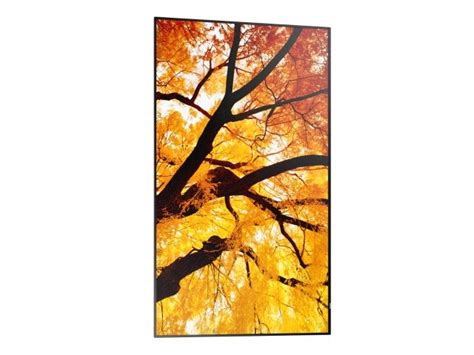 sharp multisync® m552 lcd 55″ message large format display overview sharp nec display solutions