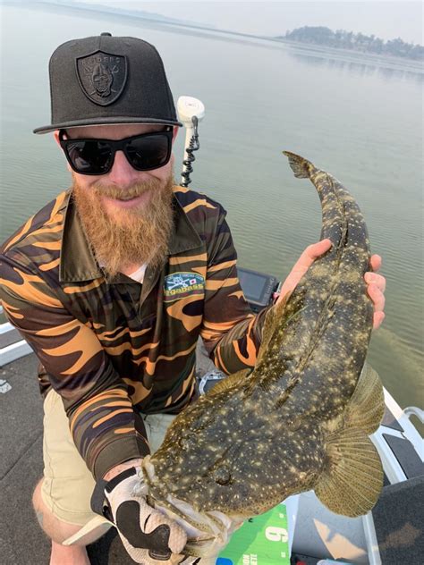 Flathead On Glidebaits Hooked Up Magazine