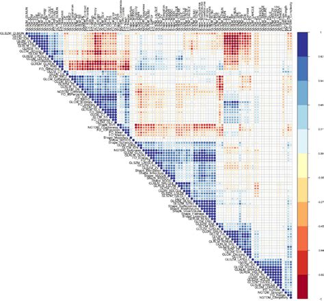 Radiomic Features Correlation Using Pearson Correlation In
