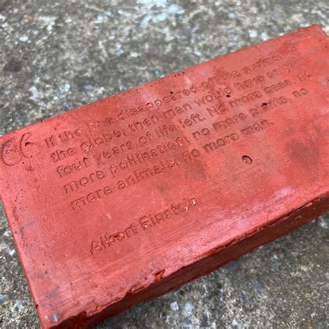 Bee Brick Handmade In Uk Free Delivery Reclaimed Brick Company