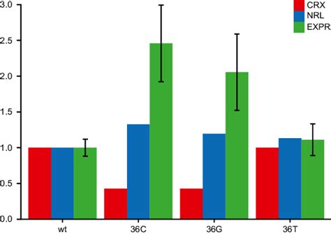 Complex Interactions Between Crx And Nrl In Region D The Effects Of