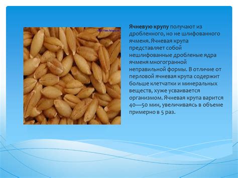Использование круп в кулинарии