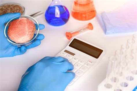 합성 육류 생산 실험실에서 적합성을 확인하기 위해 제품을 확인합니다 인공 고기는 미래의 음식입니다 시험 관 고기 Dna에 대한 스톡 사진 및 기타 이미지 Istock