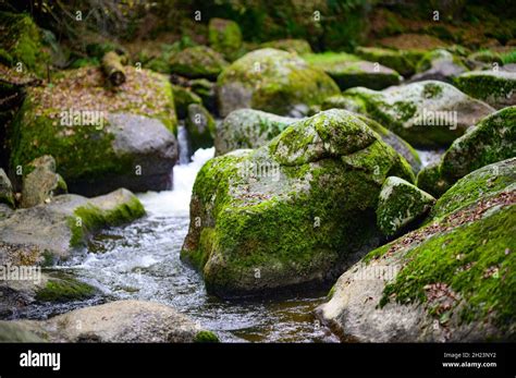 Small Cascade And Rocks With Moss And Autumn Leaves Nearby The River