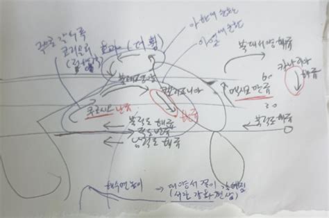 02 전 지구적인 바람 시스템의 영향으로 인한 태평양에서의 표층 해수의 흐름 쿠로시오 해류 북태평양 해류 캘리포니아 해류 북적도 해류 서안 강화 현상 을 제시된