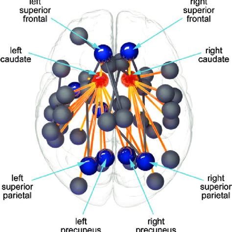 summary of processing pipeline bet brain extraction tool csd