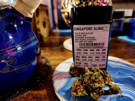 Human Catnip Happy Fun Weed Rweed