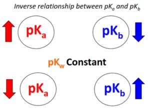 PKa PKb PKw Equation How To Solve Units Where To Use
