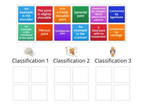 Classifications Of Joint Group Sort Classifications Of Joint Group Sort