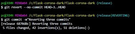 Git リポジトリを以前のコミットに戻す Delft スタック