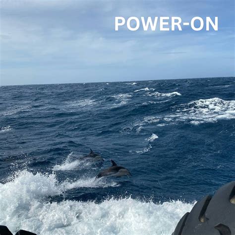 Overkill Energy Sydney Nsw