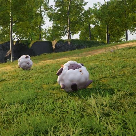 Lamball 💖🐏 R Palworld