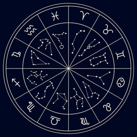 조디악 표지판과 별자리가 있는 점성학 원 흰색 원 프리미엄 벡터 Созвездия Астрология Круги