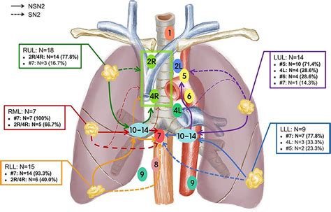 Thoracic Lymph Nodes Icd 10