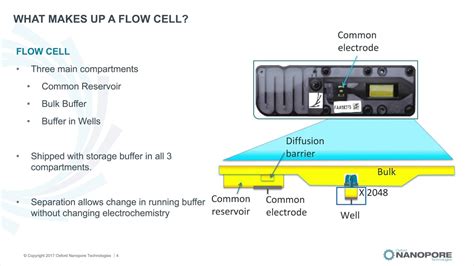 Flow Cell Introduction Youtube
