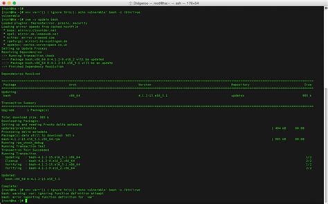 security alert bash vulnerability didgeroo