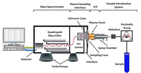 Impurity Analysis Of Biological Drugs Creative Diagnostics