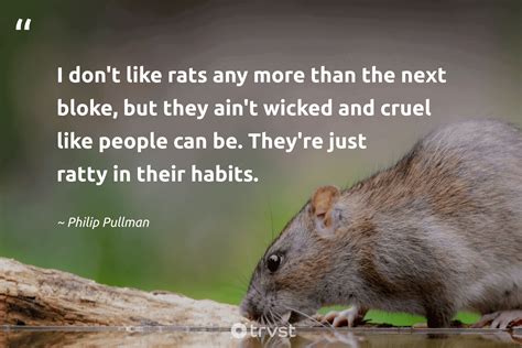 Rat Quotes