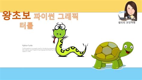 [샐리의 코딩 여행] 파이썬 그래픽 터틀 코딩 01 python graphic turtle coding youtube