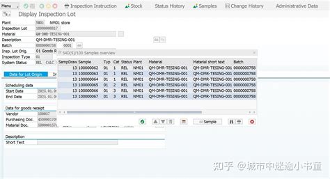 Sap Qm高阶之事务代码qe23录入检验结果 知乎